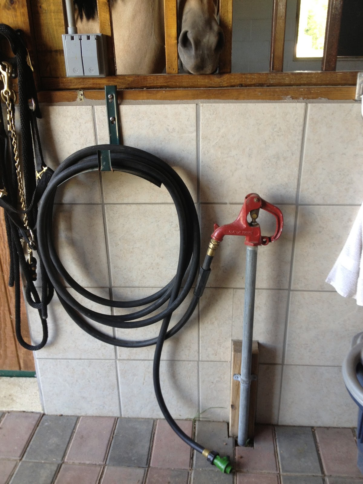 Journey of a Dressage Student: Good Horse Barn Design